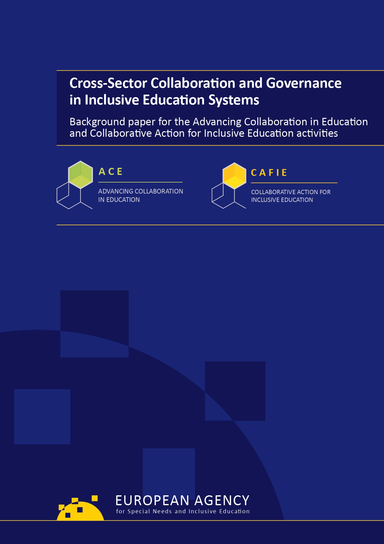 European Agency for Special Needs and Inclusive Education